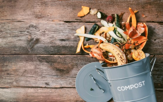How Does Composting Help the Environment? | Express Waste Removal