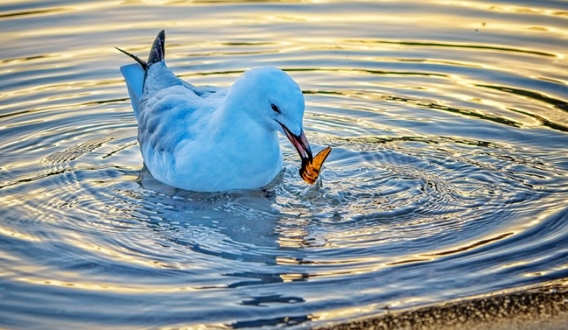 How Does Littering Affect the Environment? | Express Waste Removal