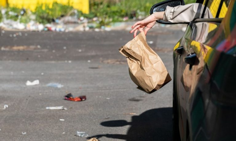 How Does Littering Affect the Environment? | Express Waste Removal