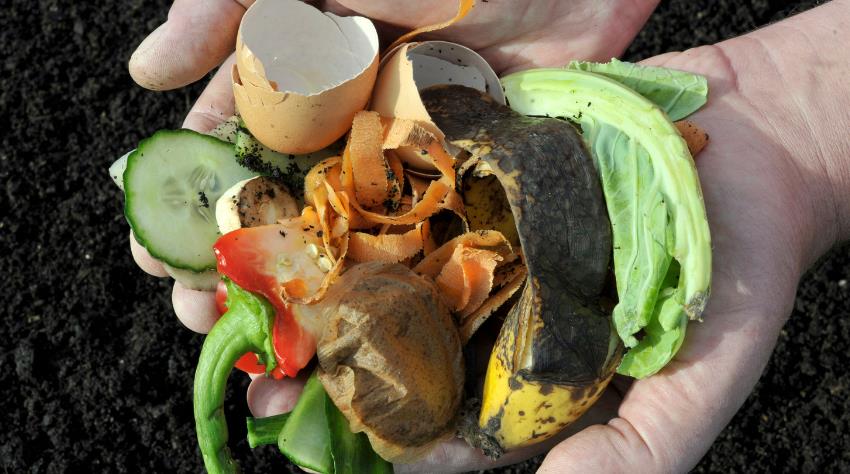 How to Make Compost With Food Waste? | Express Waste Removal