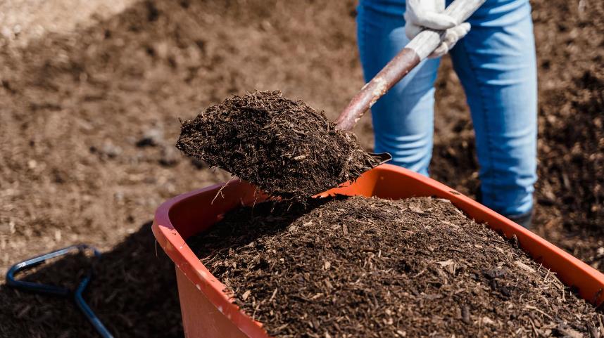 What to Do With Old Turf and Grass? - Disposal Methods | Express Waste ...